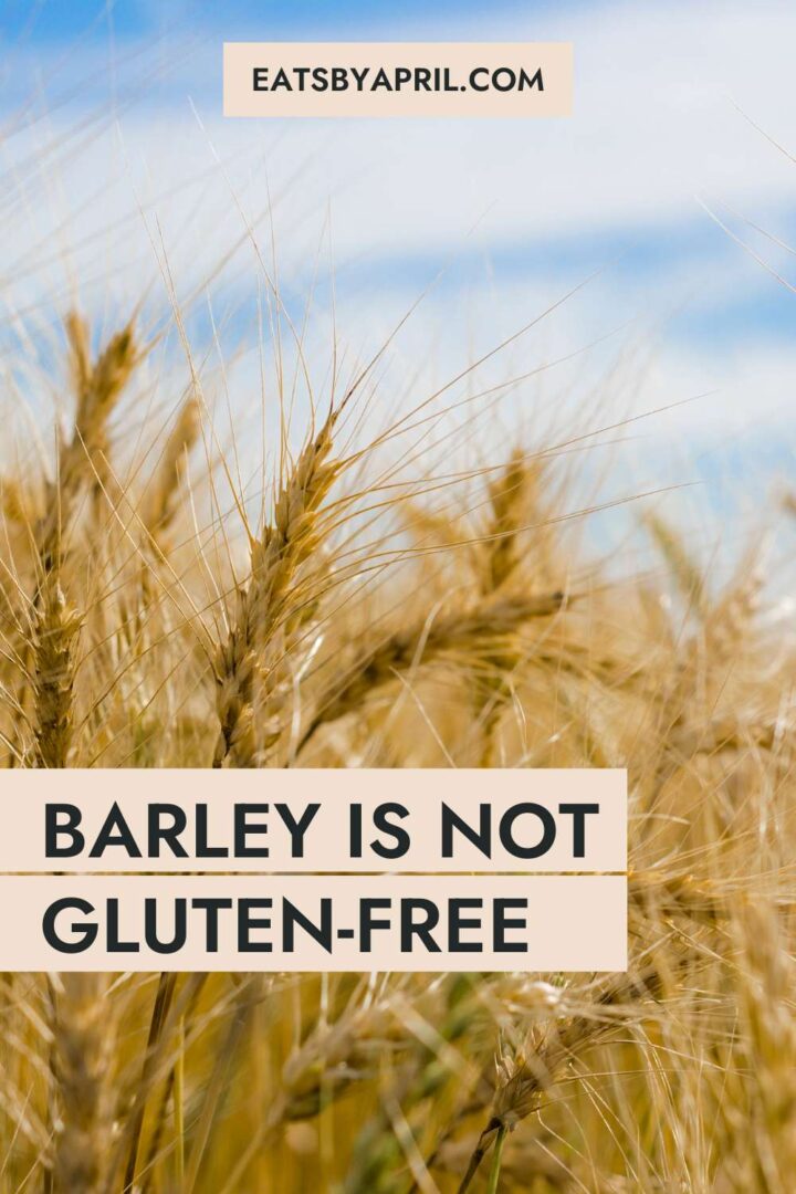 Is Barley Gluten Free? - Eats by April
